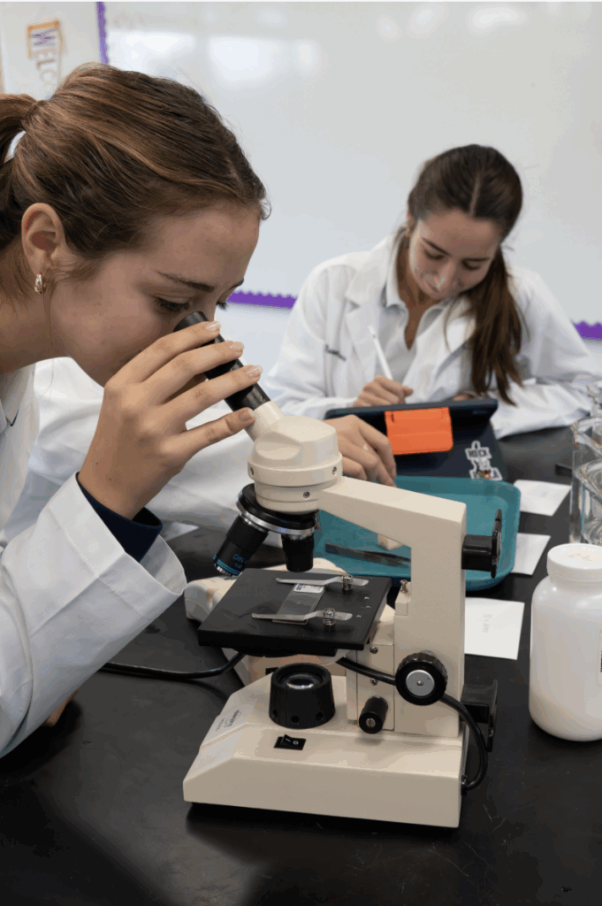 Admissions – Lourdes Academy